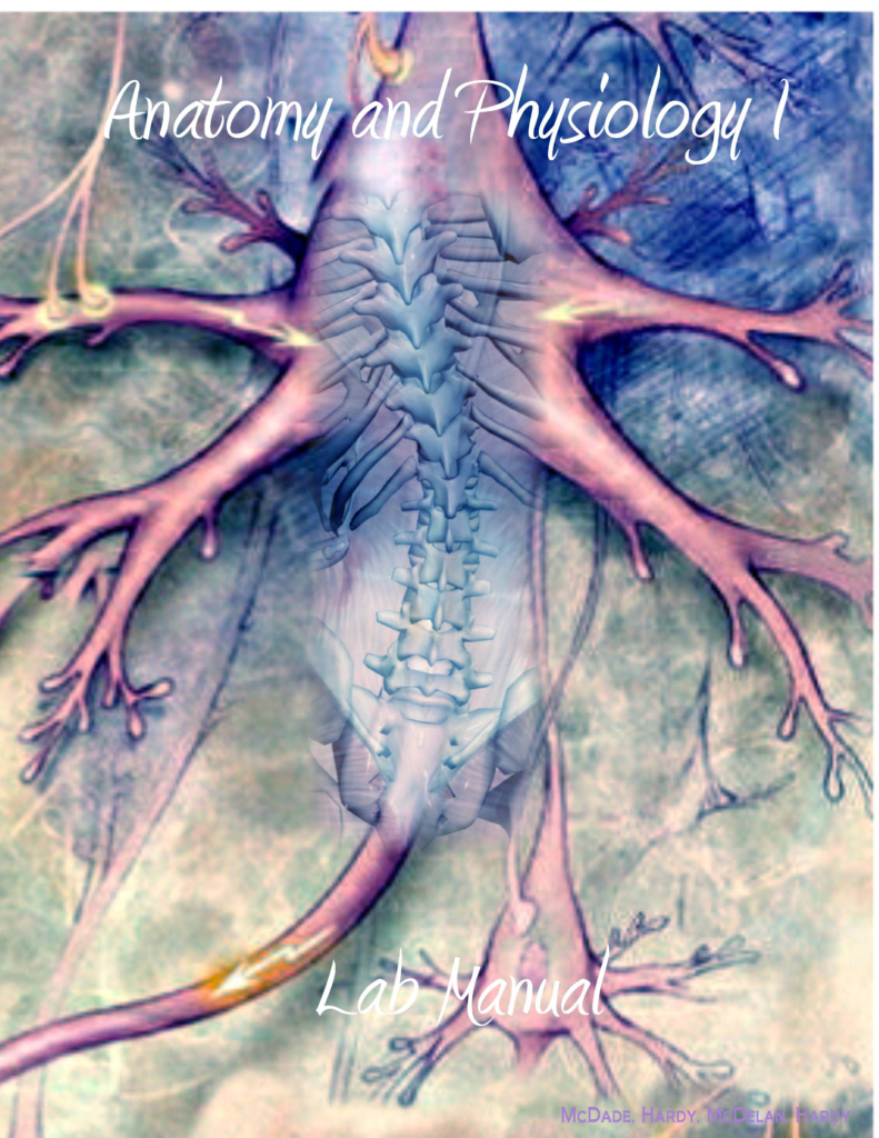 Anatomy and Physiology I Lab Manual with Cat Dissection, 4th edition ...