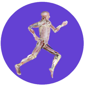 Campus Publishing - Quality Custom Educational Materials