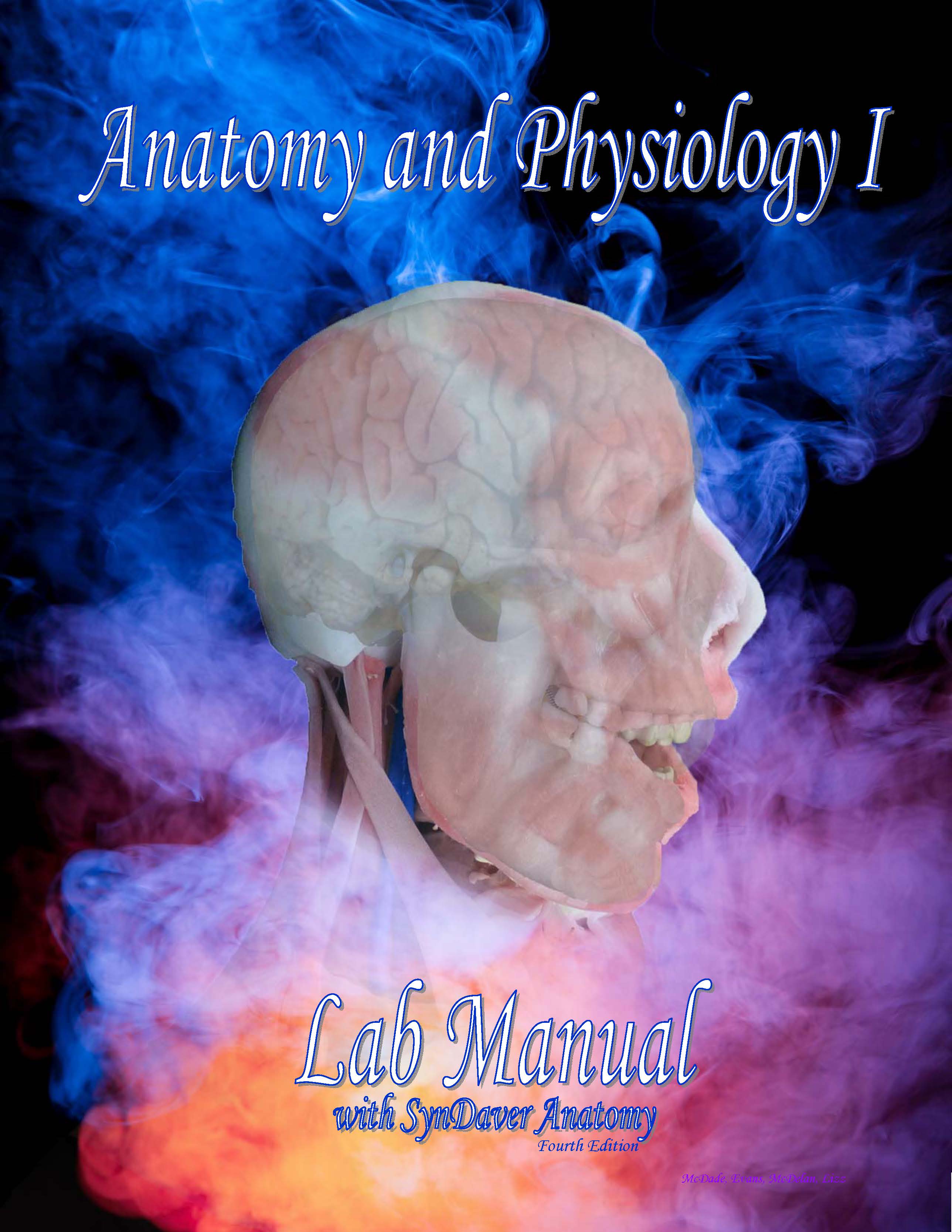 Anatomy And Physiology Lab Manual With SynDaver Anatomy 4th Edition Anatomy And Physiology Lab Manual With SynDaver Anatomy 4th Edition